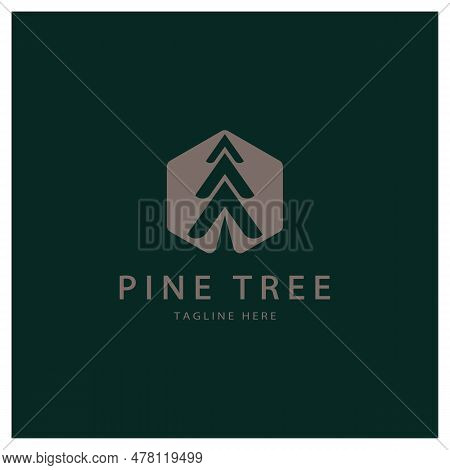 Simple Pine Tree Vector