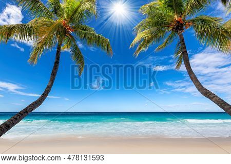 Sunny Tropical Beach. Image & Photo (Free Trial) | Bigstock
