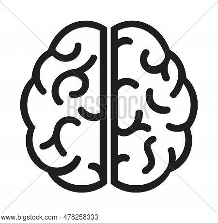 Human Brain Medical Vector & Photo (Free Trial) | Bigstock