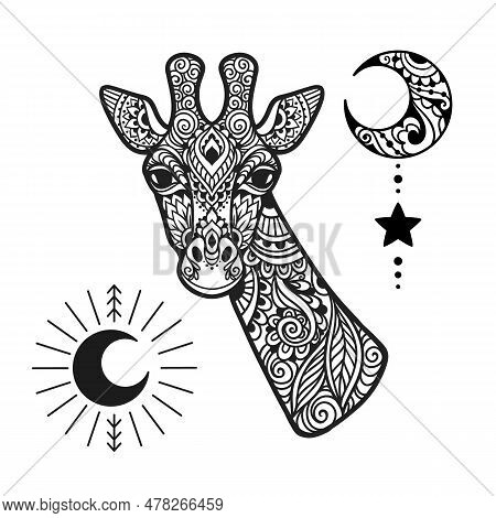 Giraffe Mandala. Vector & Photo (Free Trial) | Bigstock