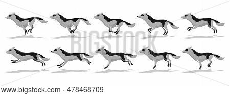 Dog Running Animation Vector & Photo (Free Trial) | Bigstock