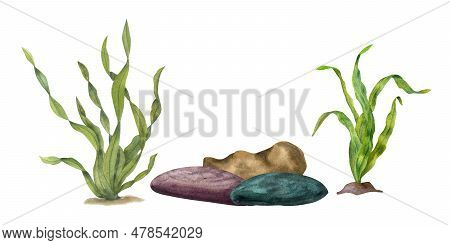 Underwater Rock Drawing