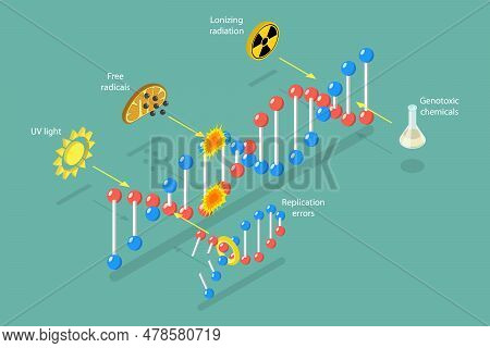 3d Isometric Flat Vector & Photo (Free Trial) | Bigstock