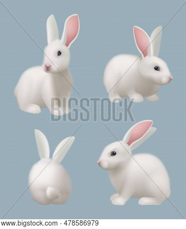 White Rabbit. Science Vector & Photo (Free Trial) | Bigstock