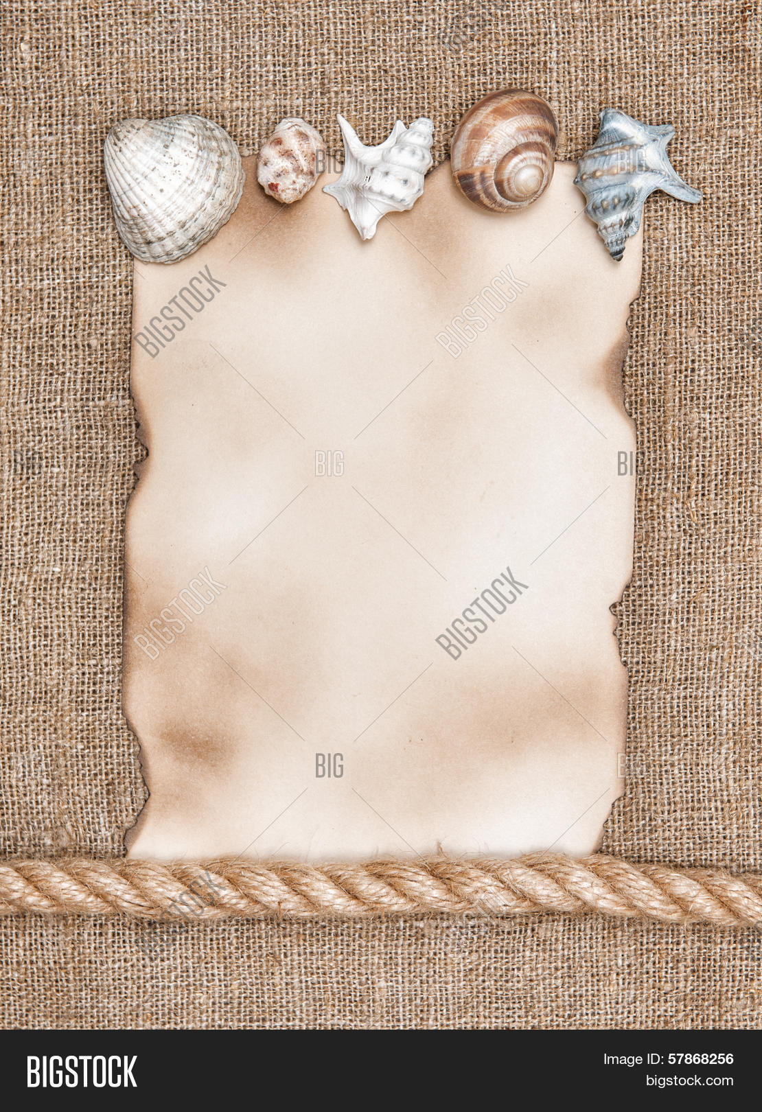 Aged Paper Sea Shells Image & Photo (Free Trial) | Bigstock