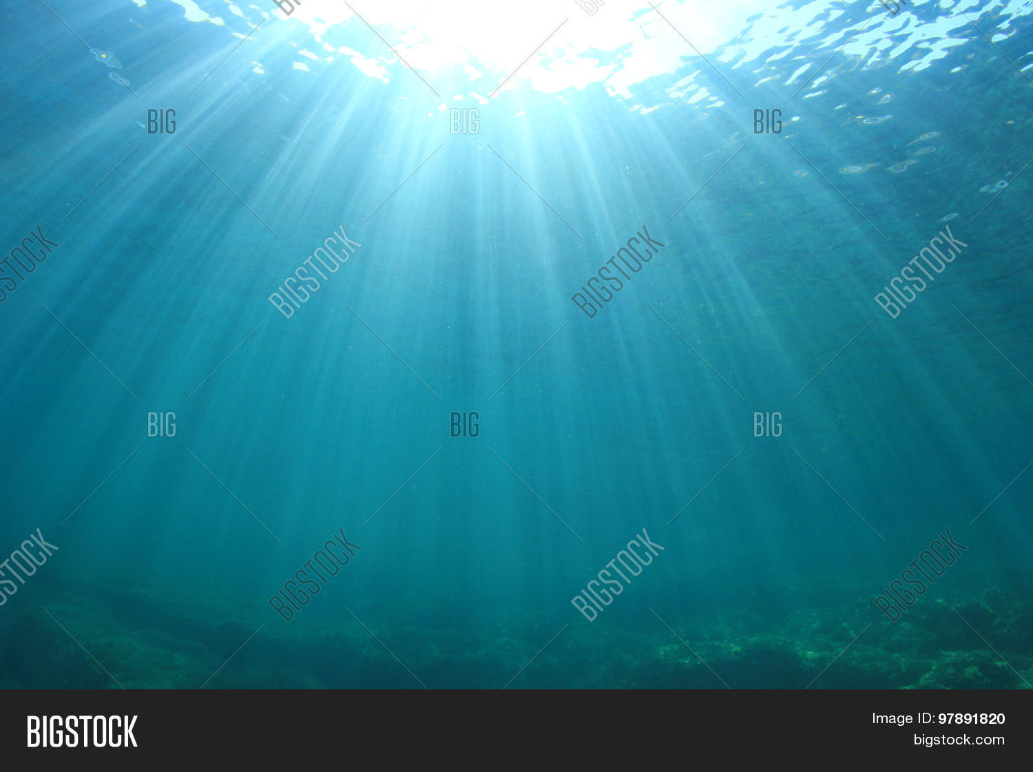 Underwater Blue Ocean Image & Photo (Free Trial) | Bigstock