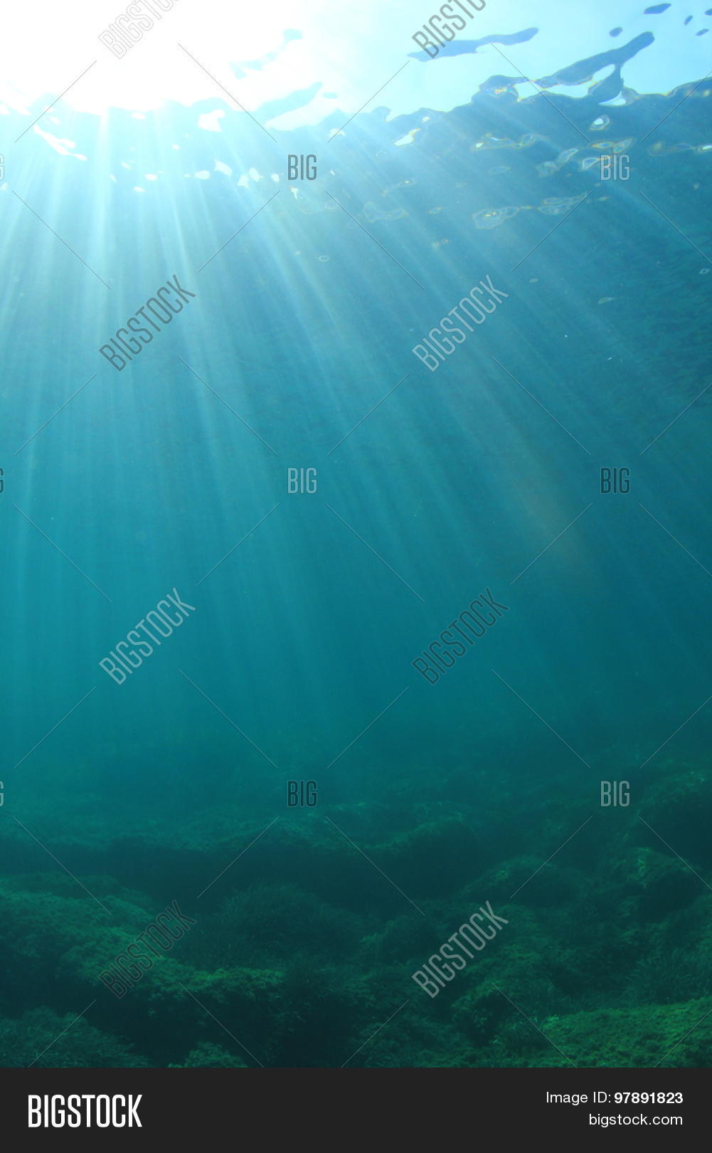 Underwater Blue Ocean Image & Photo (Free Trial) | Bigstock