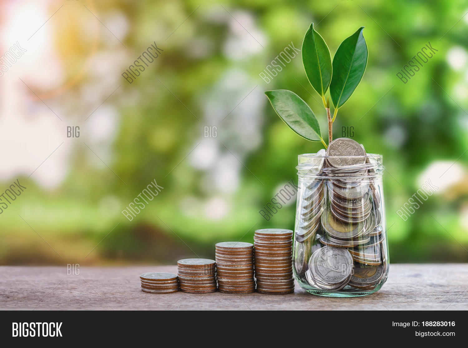 Plant Growing Coins Image & Photo (Free Trial) | Bigstock