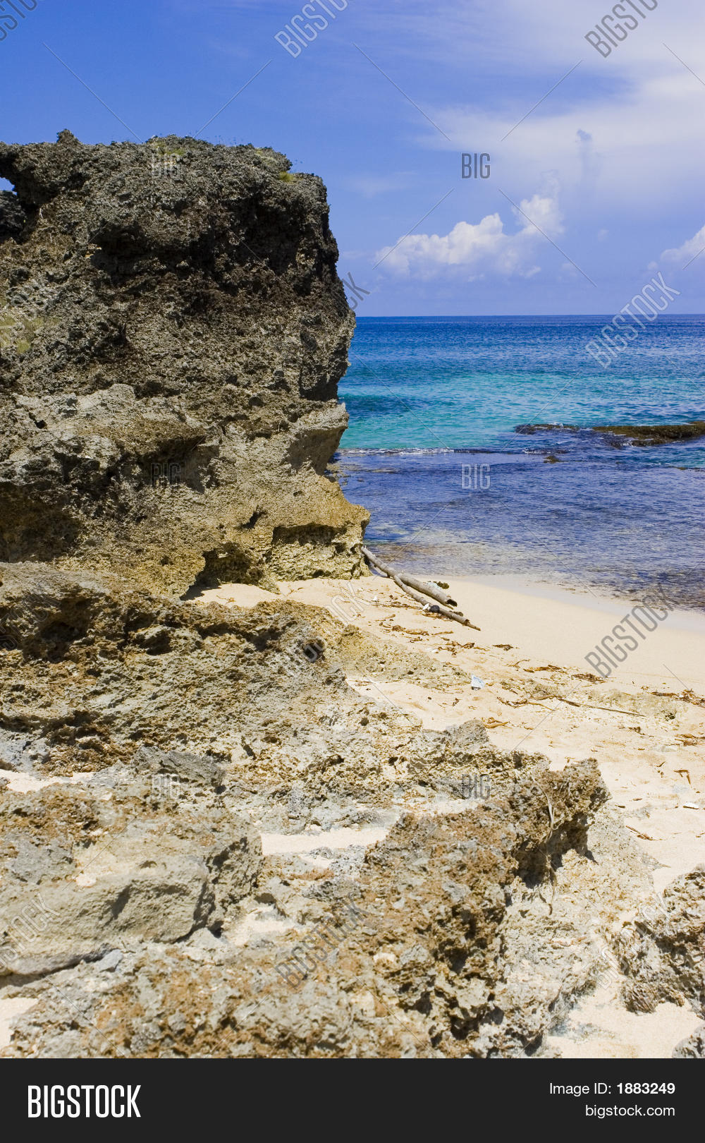 Coral Rock Image & Photo (Free Trial) | Bigstock