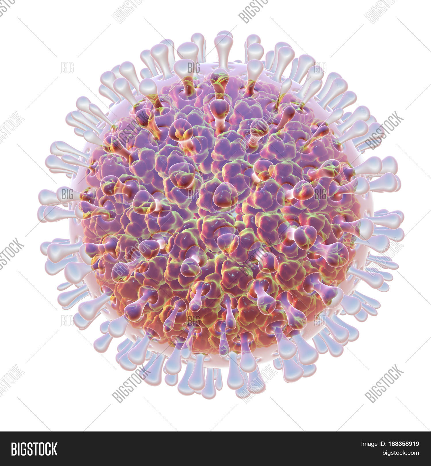 Rotavirus Isolated On Image & Photo (Free Trial) | Bigstock