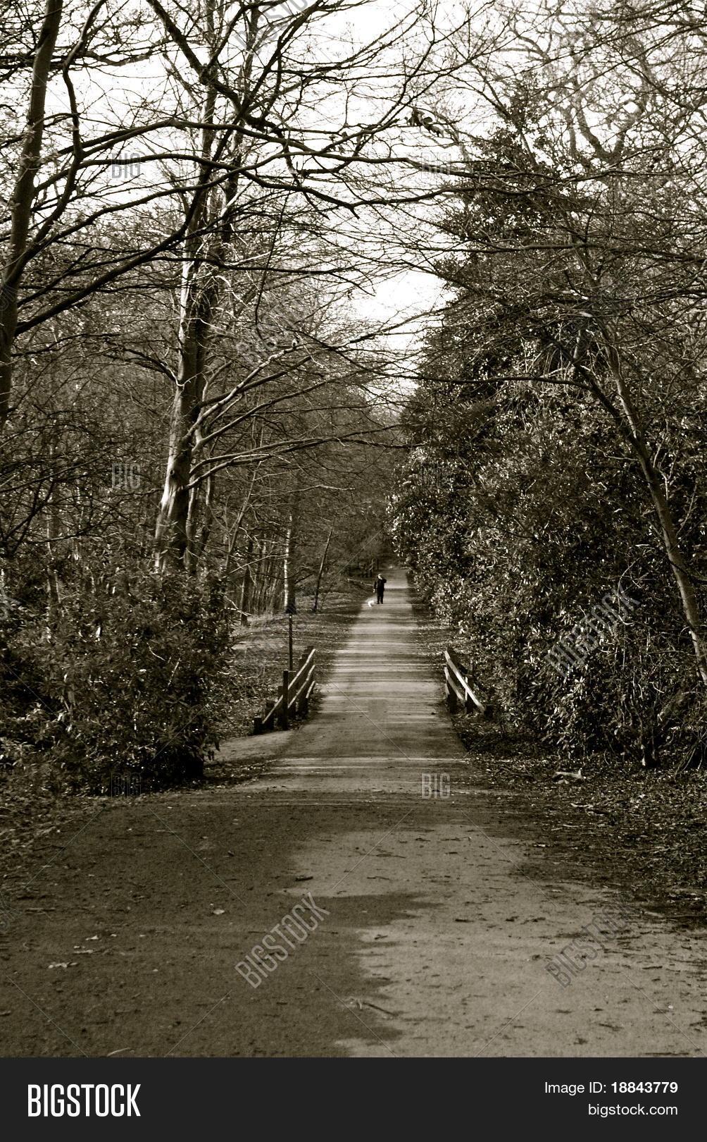 Long Straight Path Image & Photo (Free Trial) | Bigstock