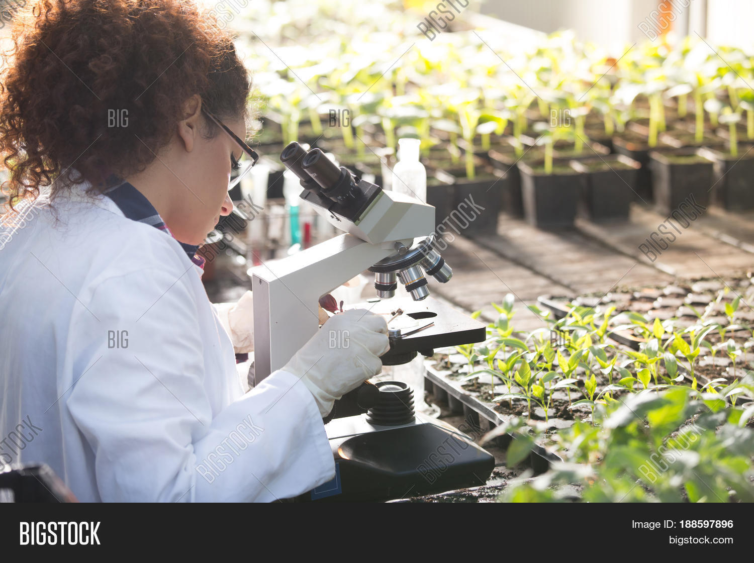 Young Biologist Image & Photo (Free Trial) | Bigstock