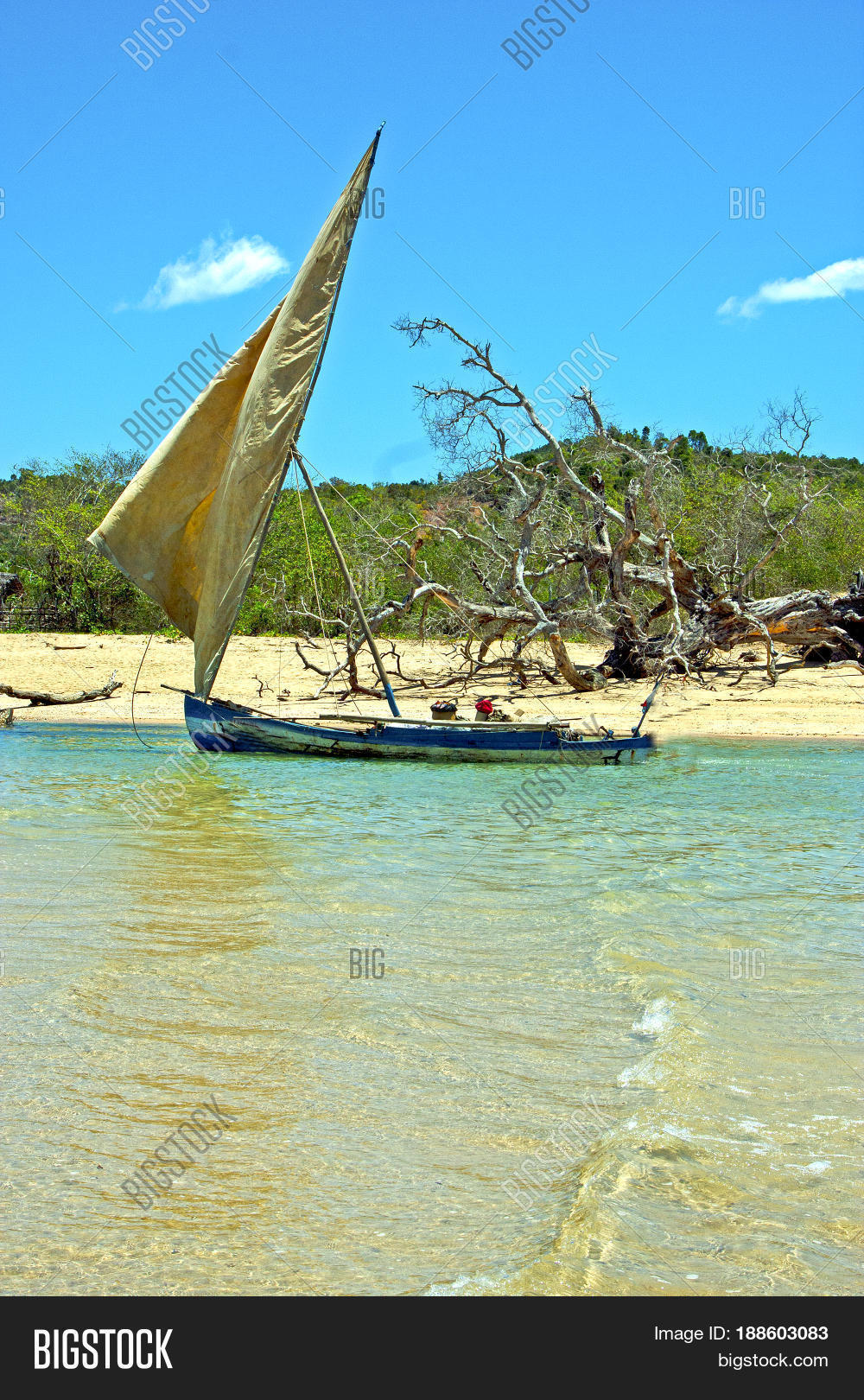 Pirogue Beach Seaweed Image & Photo (Free Trial) | Bigstock
