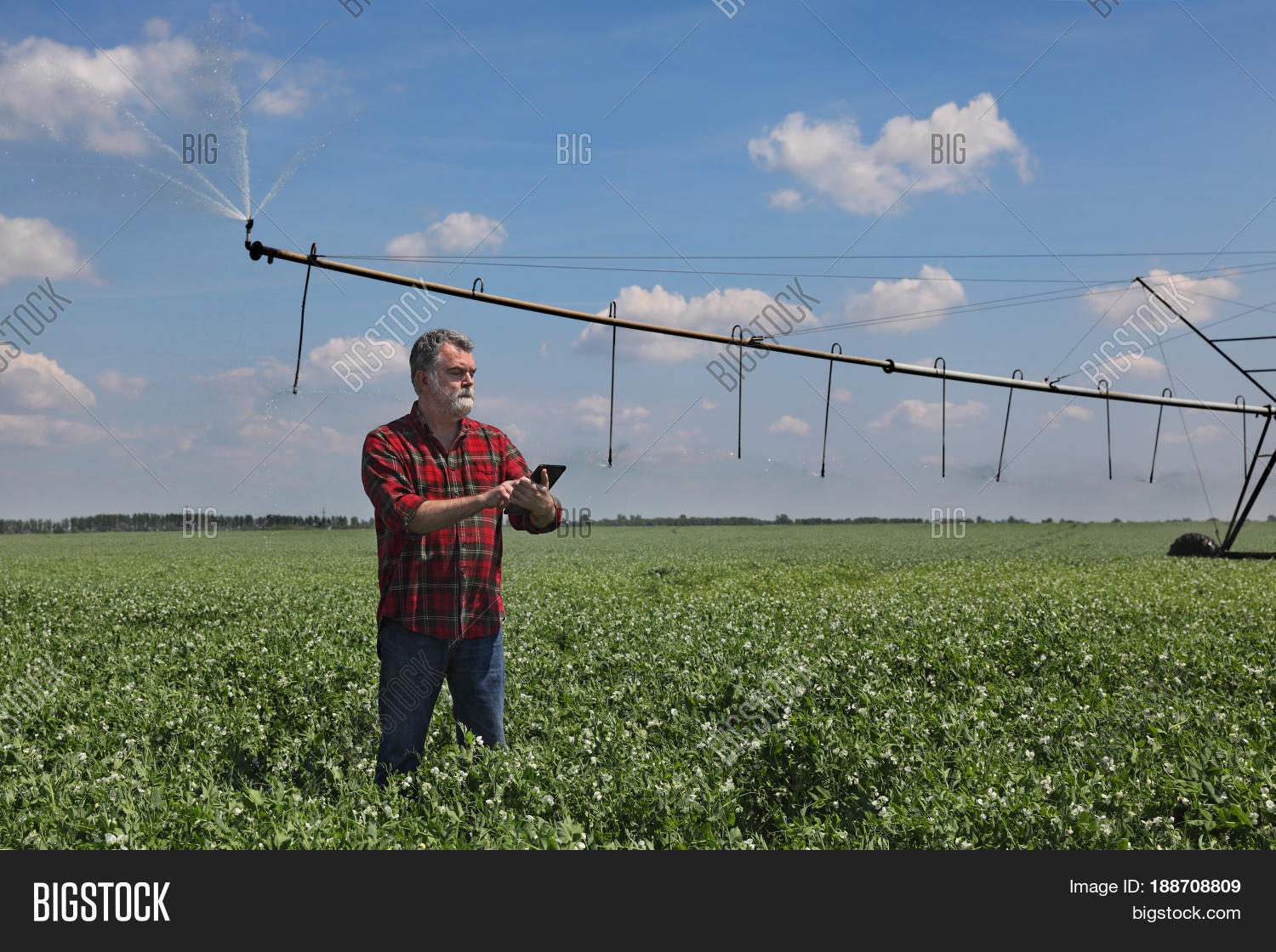 Farmer Pea Field Image & Photo (Free Trial) | Bigstock
