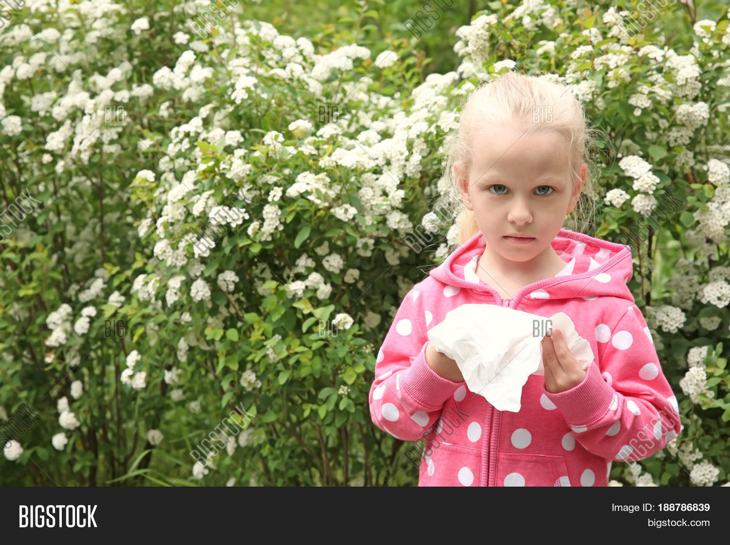 Sneezing Little Cute Image & Photo (Free Trial) | Bigstock