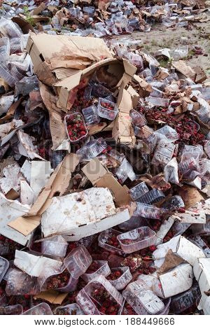 Rotten Garden Image & Photo (Free Trial) | Bigstock