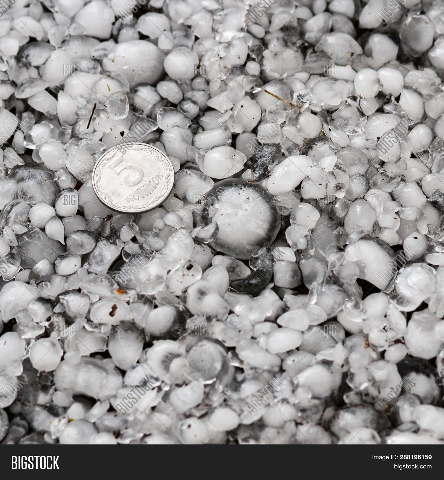 Hail Sized Larger Coin Image & Photo (Free Trial) | Bigstock