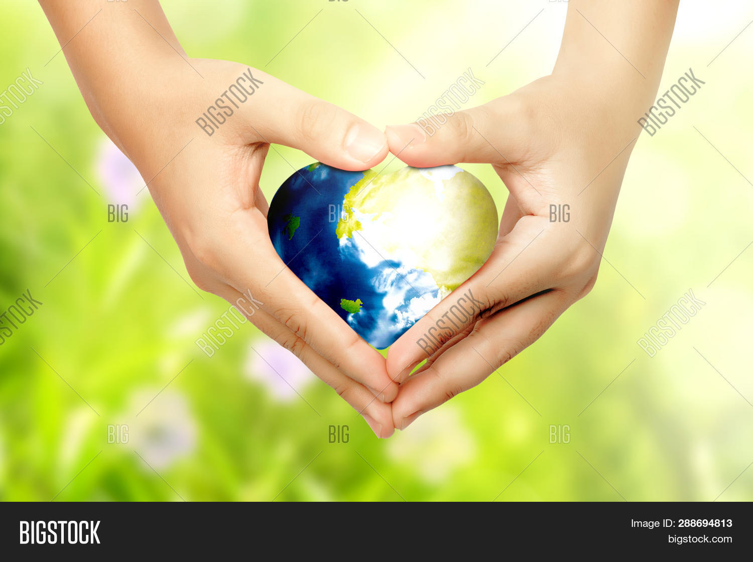 Earth Heart Hands
