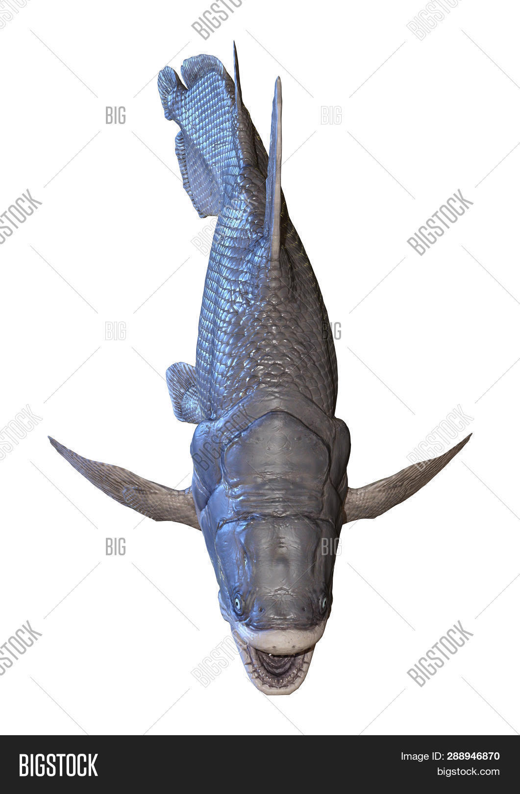 3D Rendering Mawsonia Image & Photo (Free Trial) | Bigstock