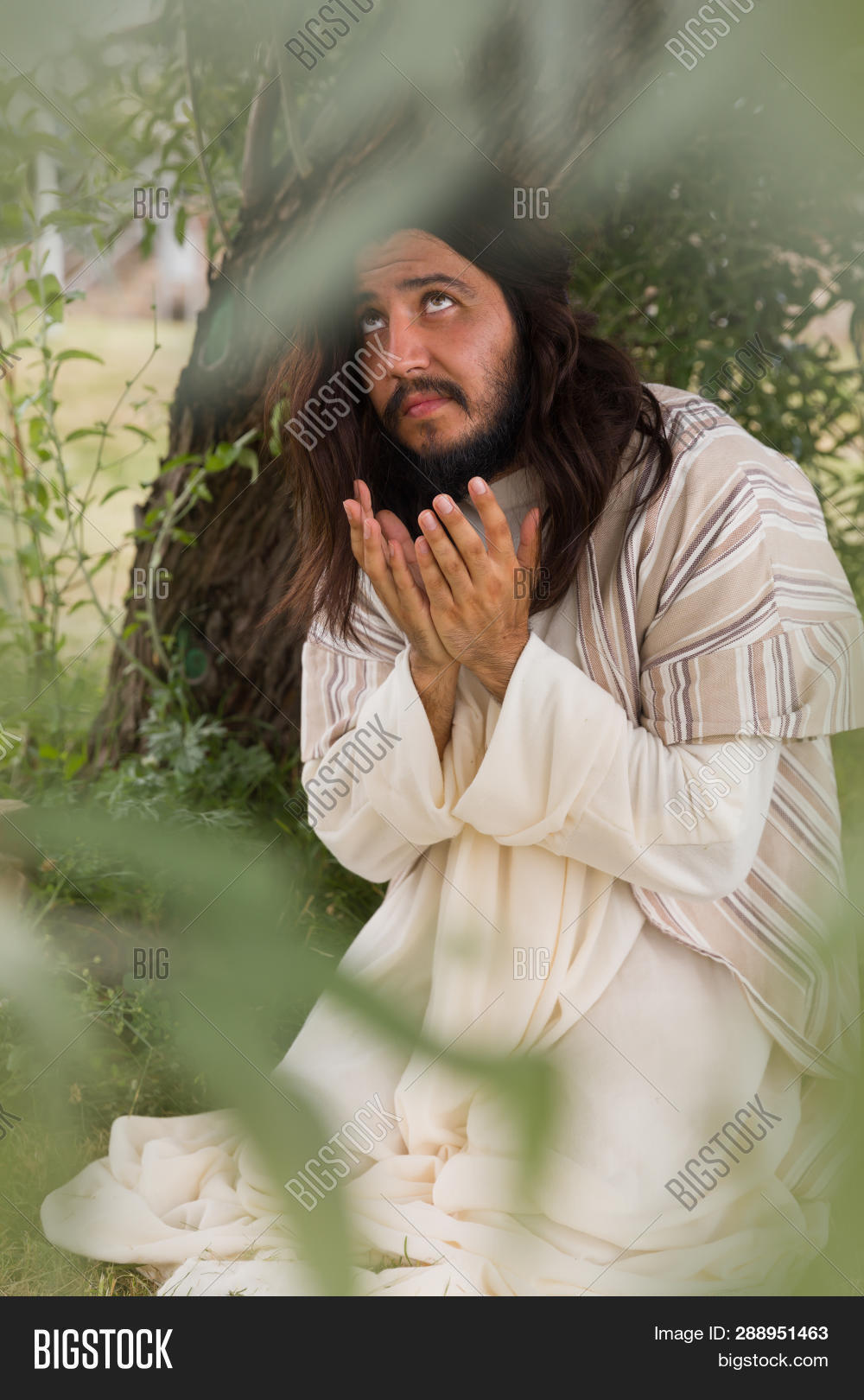 Jesus Agony Praying Image & Photo (Free Trial) | Bigstock