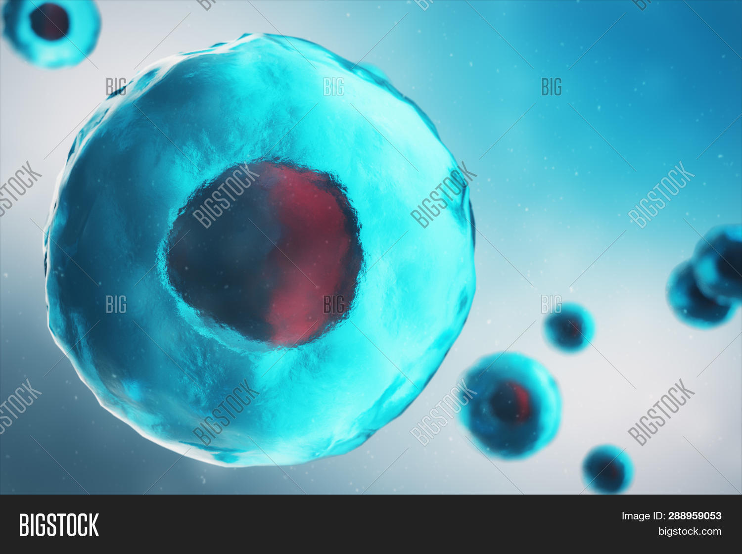 Cell Living Organism, Image & Photo (Free Trial) | Bigstock