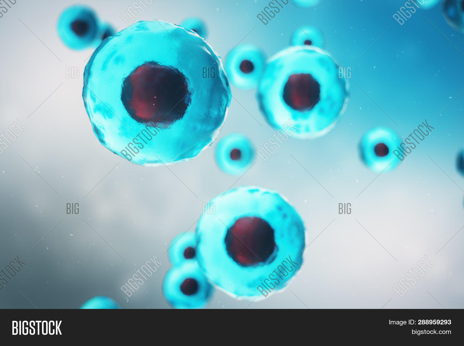 Cell Living Organism, Image & Photo (Free Trial) | Bigstock