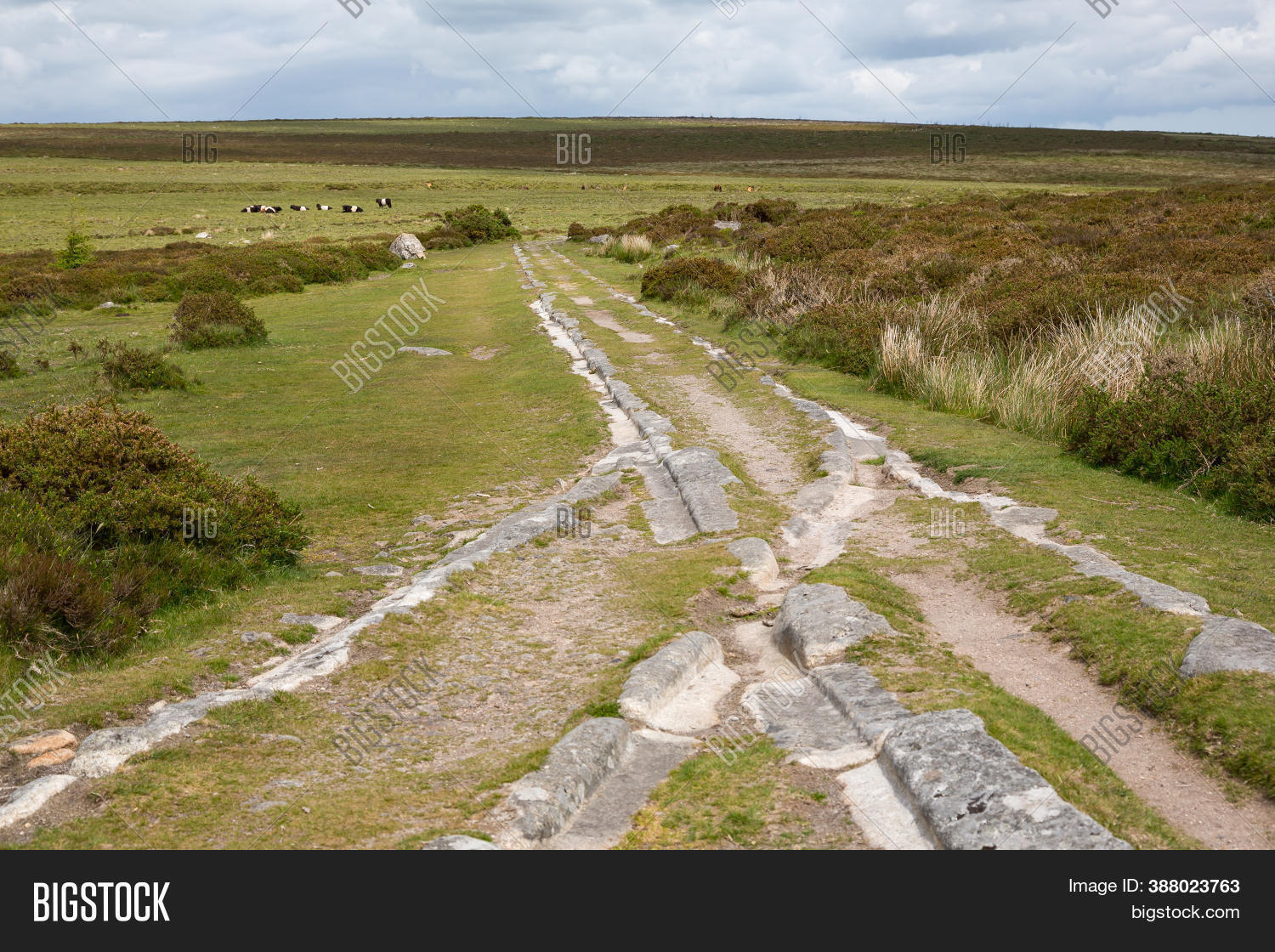 Haytor Granite Tramway Image & Photo (Free Trial) | Bigstock