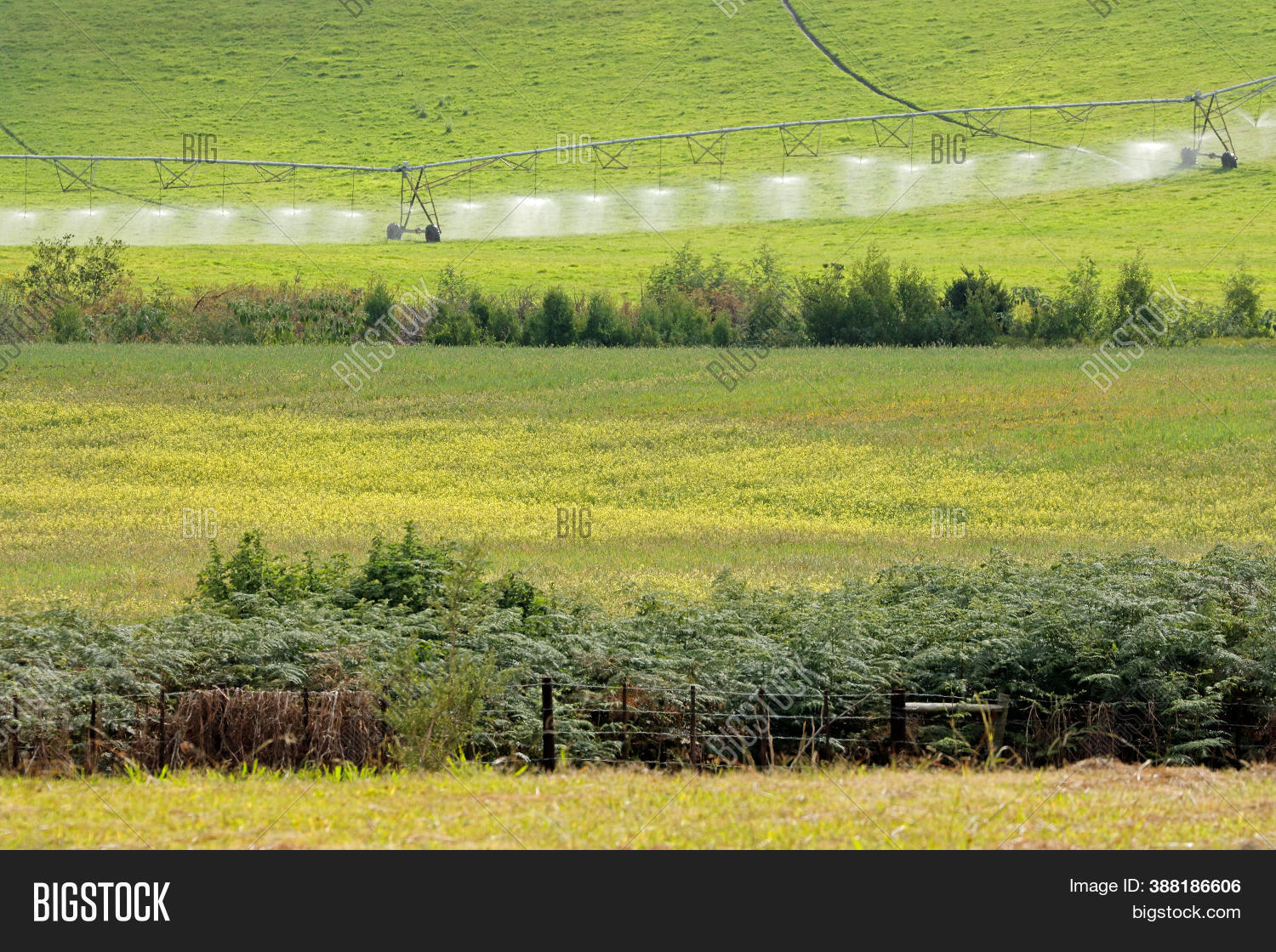 Rural Farm Landscape Image & Photo (Free Trial) | Bigstock