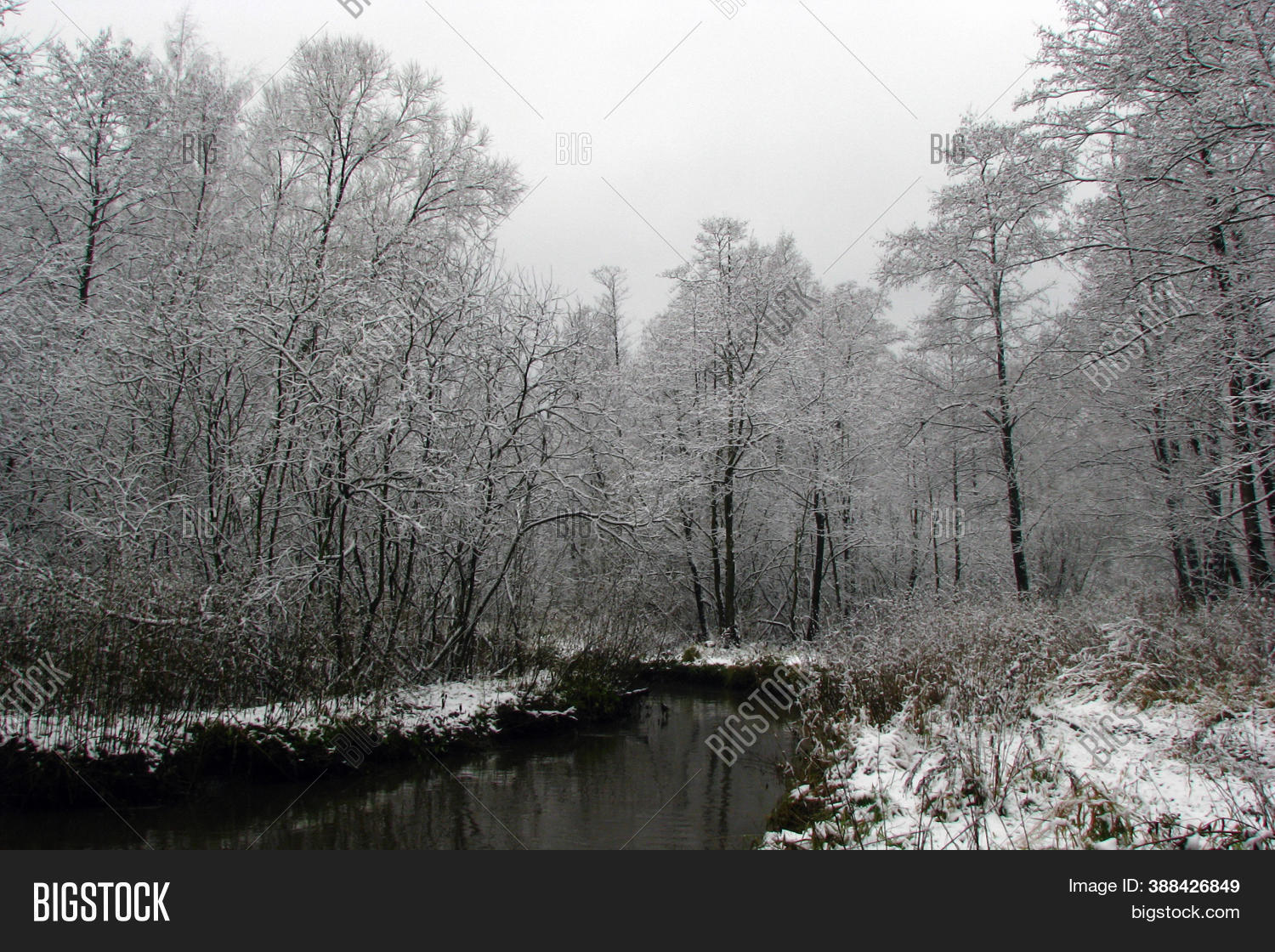 Dull Winter Landscape Image & Photo (Free Trial) | Bigstock