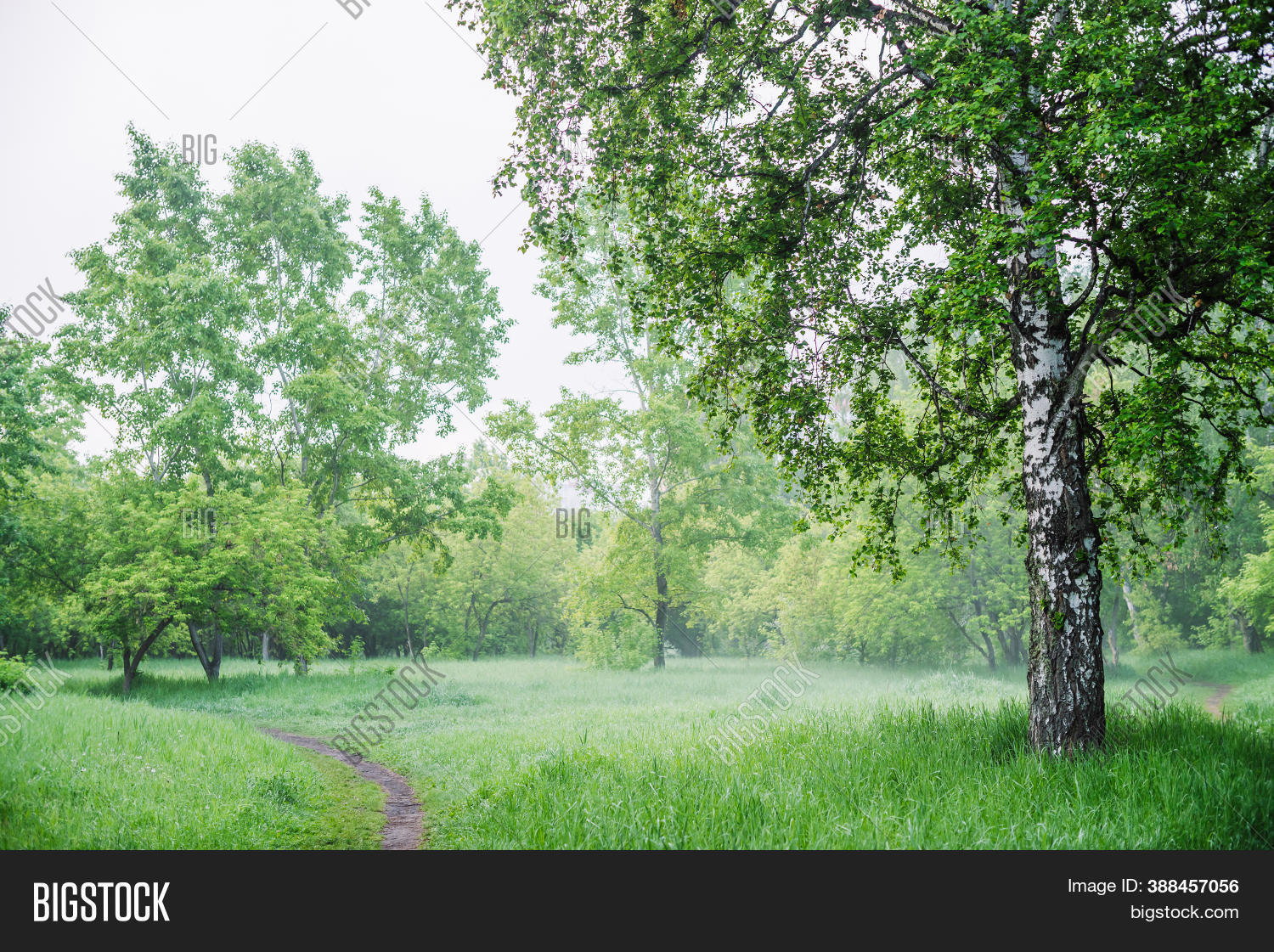 Scenic Landscape Nice Image & Photo (Free Trial) | Bigstock