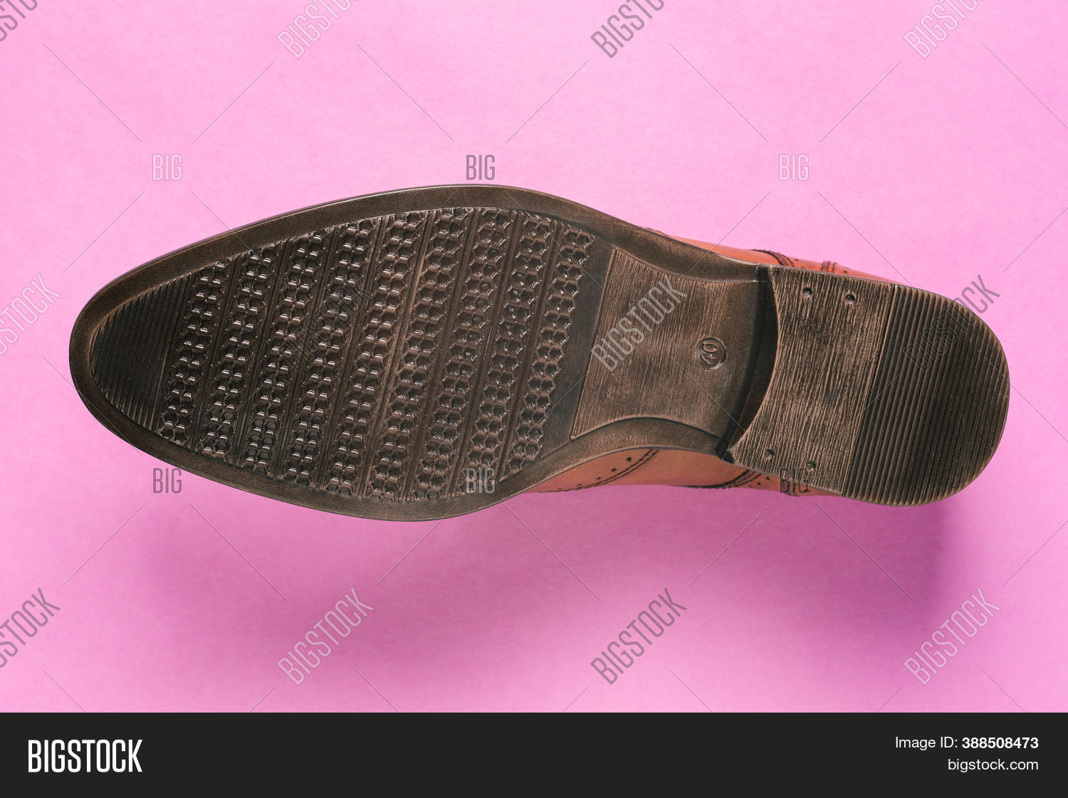 Sole Shoe Isolated On Image & Photo (Free Trial) | Bigstock