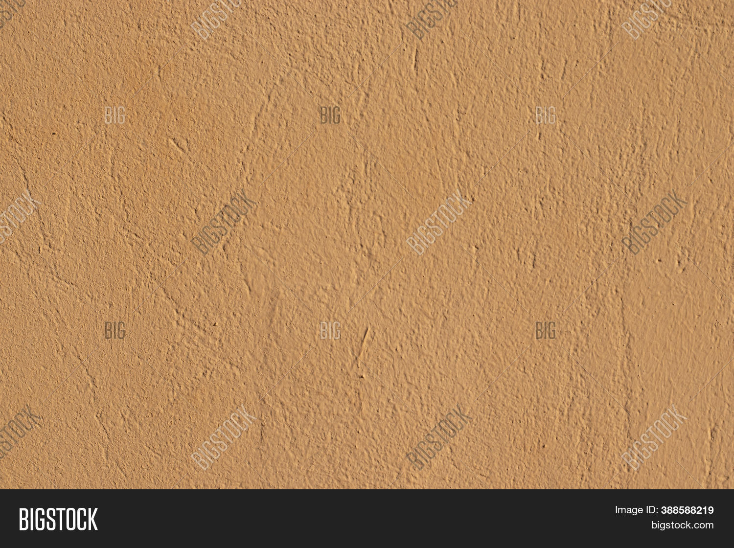 Cream Beige Colour Image & Photo (Free Trial) | Bigstock