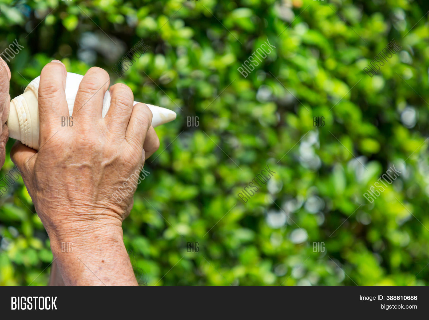 Man Blowing Conch Image & Photo (Free Trial) | Bigstock