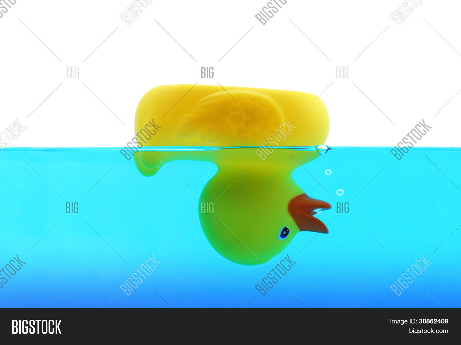 Drowning Duck Blue Image & Photo (Free Trial) | Bigstock