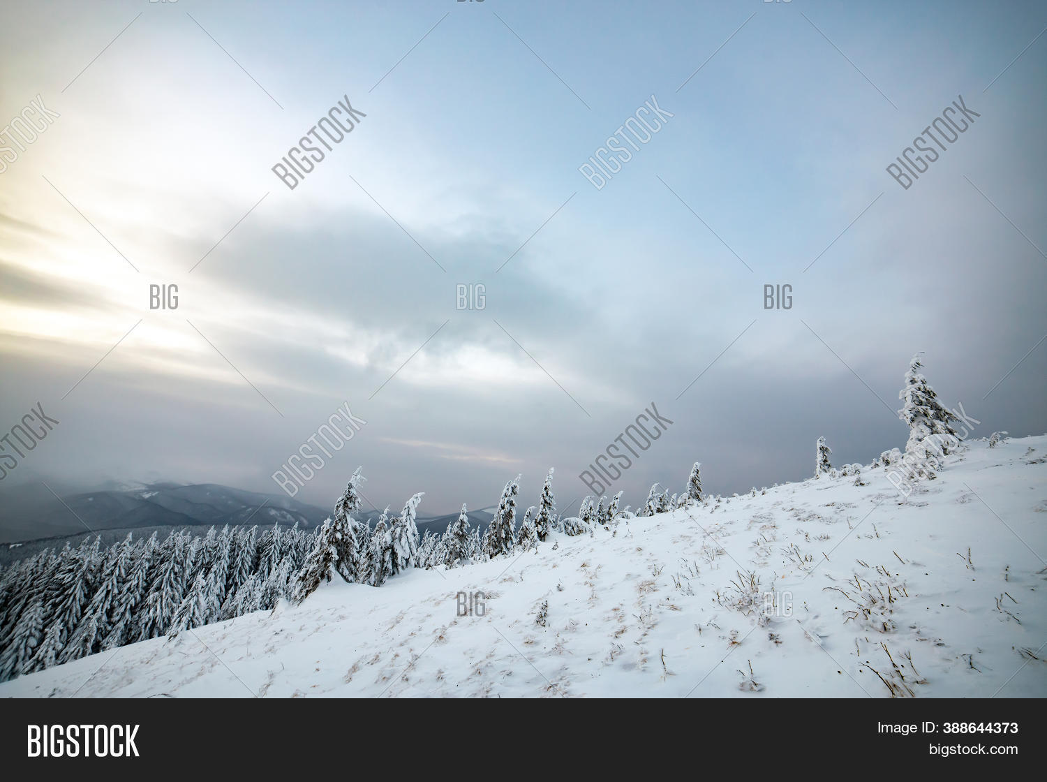 Moody Winter Landscape Image & Photo (Free Trial) | Bigstock