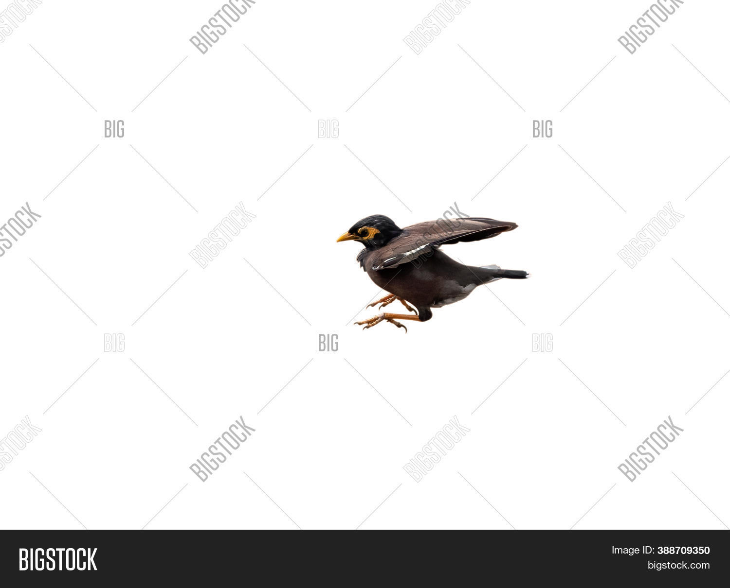 Movement Scene Common Image & Photo (Free Trial) | Bigstock