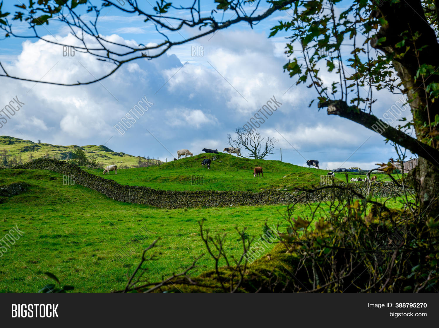 View Across Open Image & Photo (Free Trial) | Bigstock