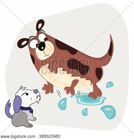 Dog Playing Water Vector & Photo (Free Trial) | Bigstock