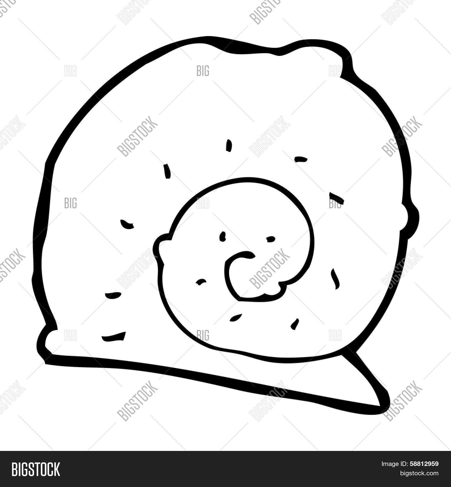 Cartoon Snail Shell Image & Photo (Free Trial) | Bigstock