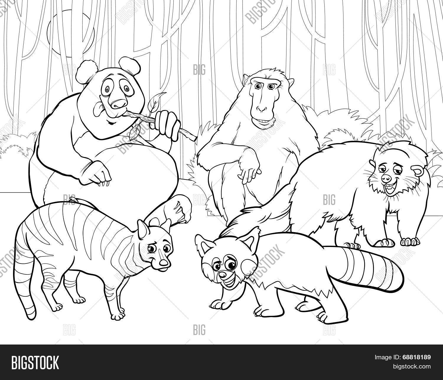 Animals Group Cartoon Vector & Photo (Free Trial) | Bigstock