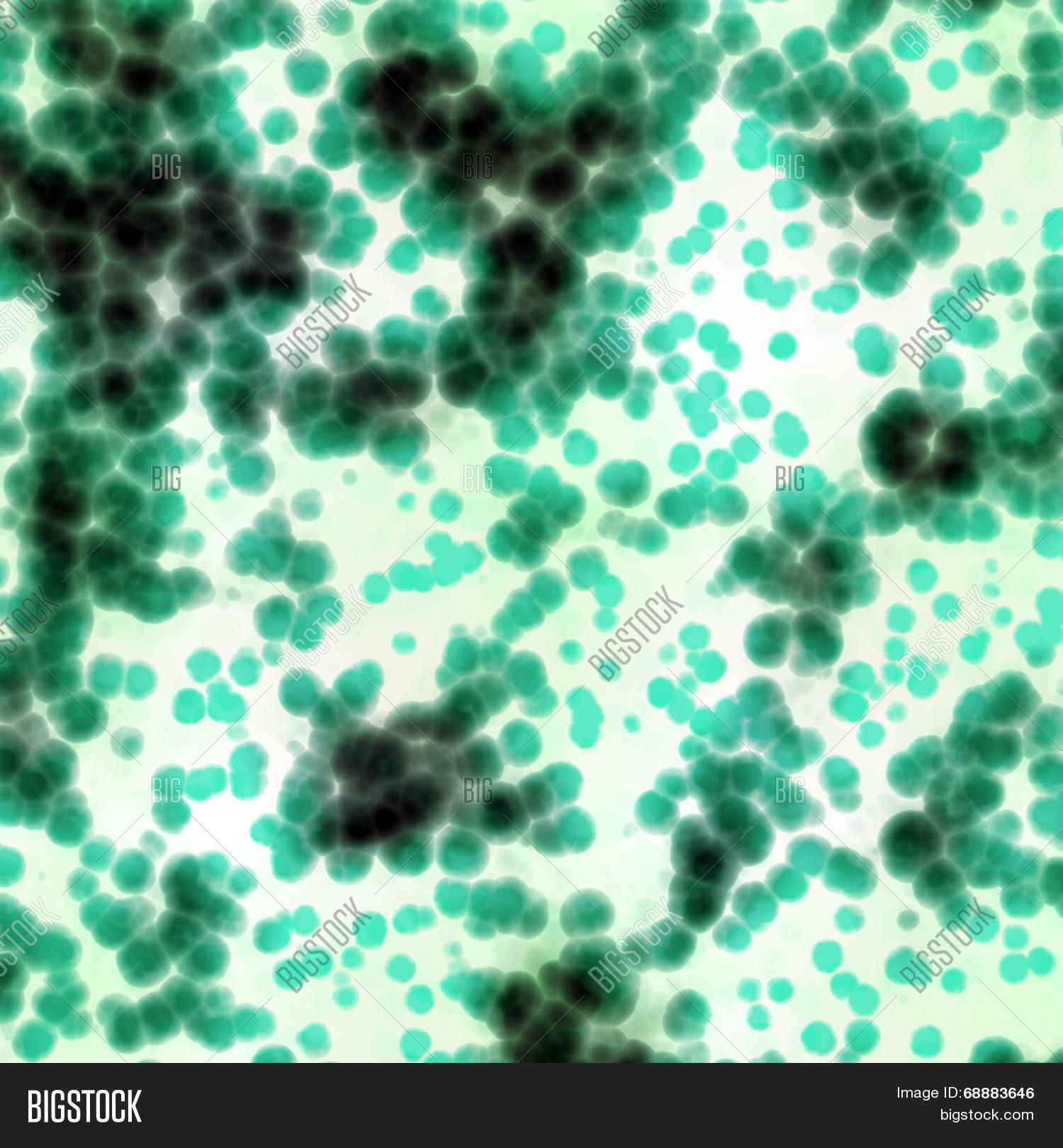 Bacteria Cells Close Image & Photo (Free Trial) | Bigstock