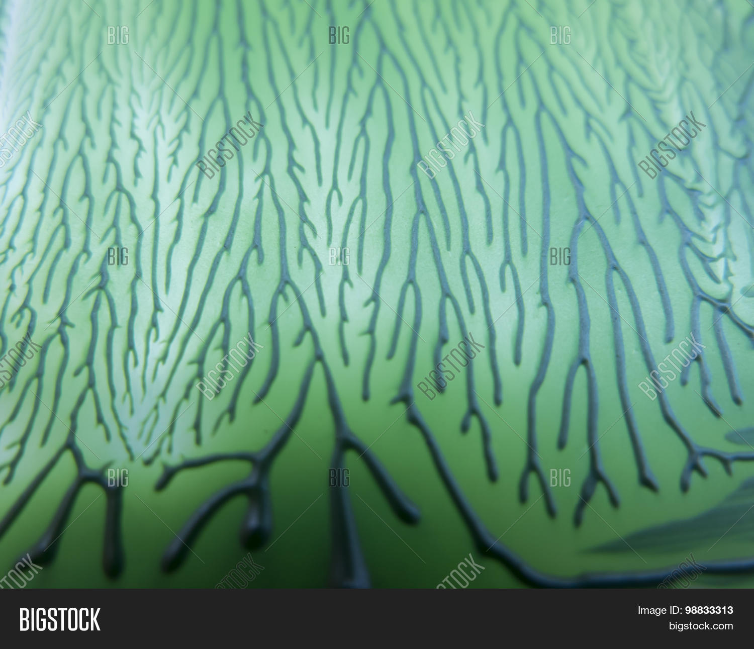 Interesting Texture Image & Photo (Free Trial) | Bigstock