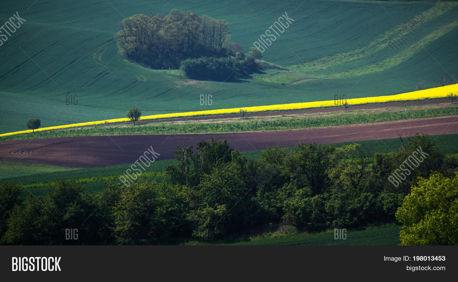 Green Spring Field Image & Photo (Free Trial) | Bigstock