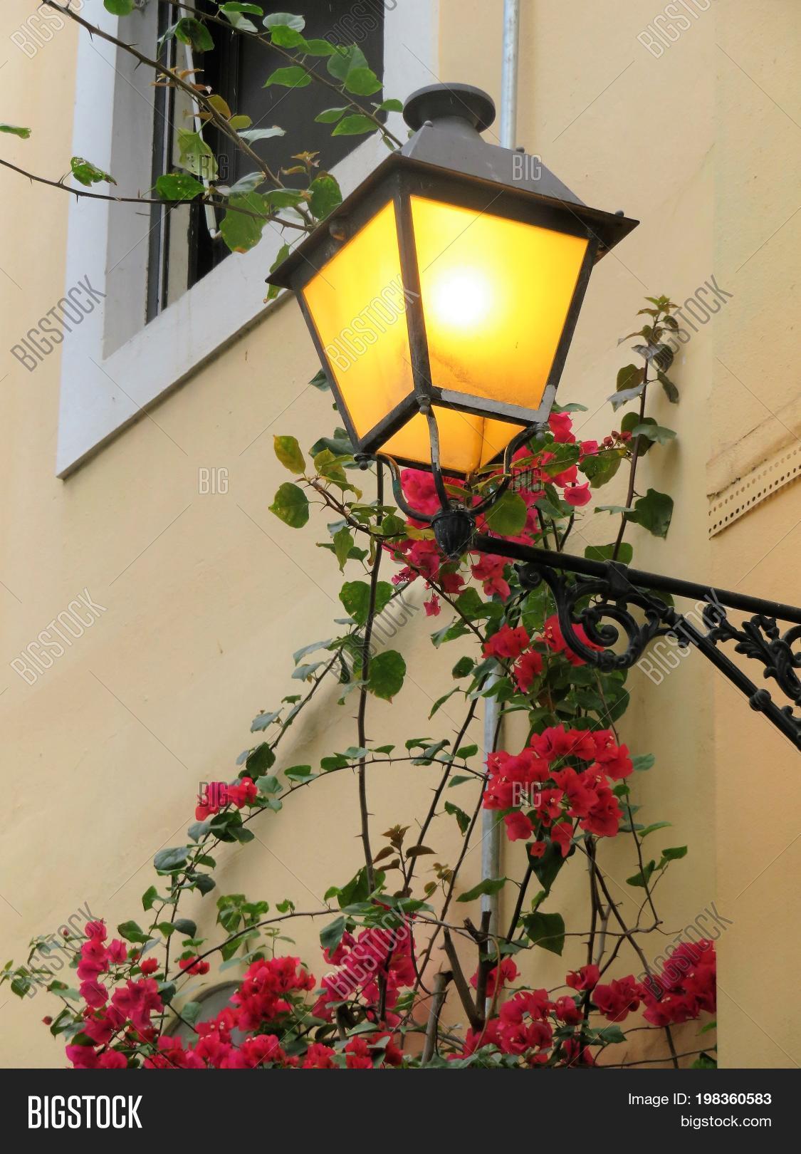 Lamp Post Attached Image & Photo (Free Trial) | Bigstock