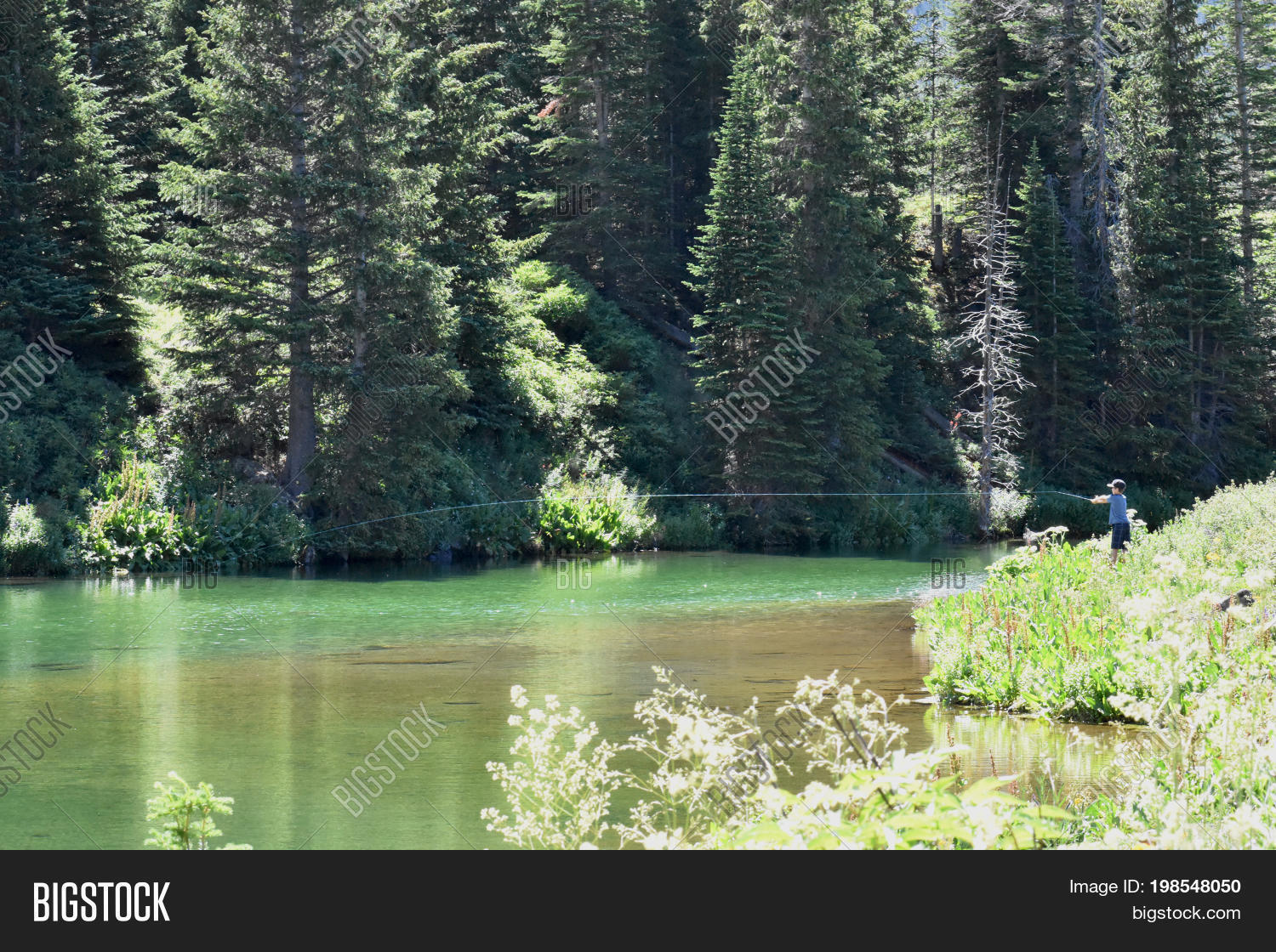 Stillwater Reservoir # Image & Photo (Free Trial) | Bigstock