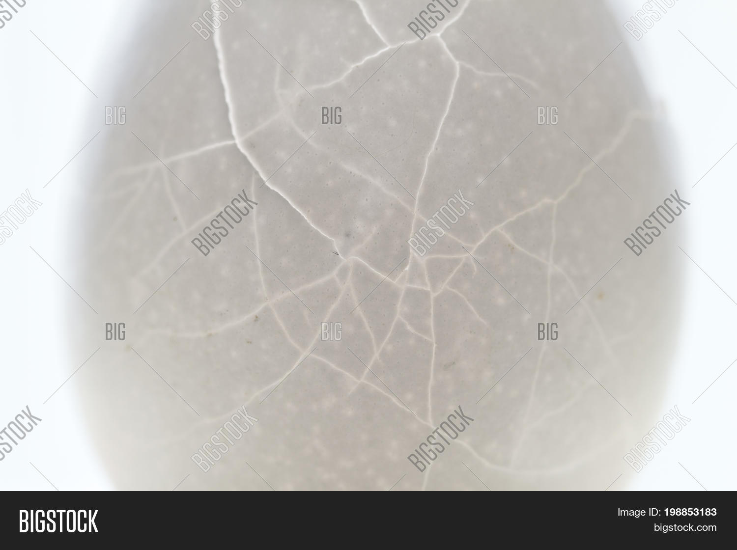 Cracked Egg Shell Image & Photo (Free Trial) | Bigstock