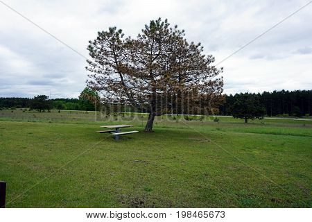 Tustin Rest Area Image & Photo (Free Trial) | Bigstock