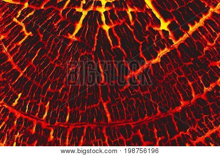 Lava Burn Wood Texture Image & Photo (Free Trial) | Bigstock