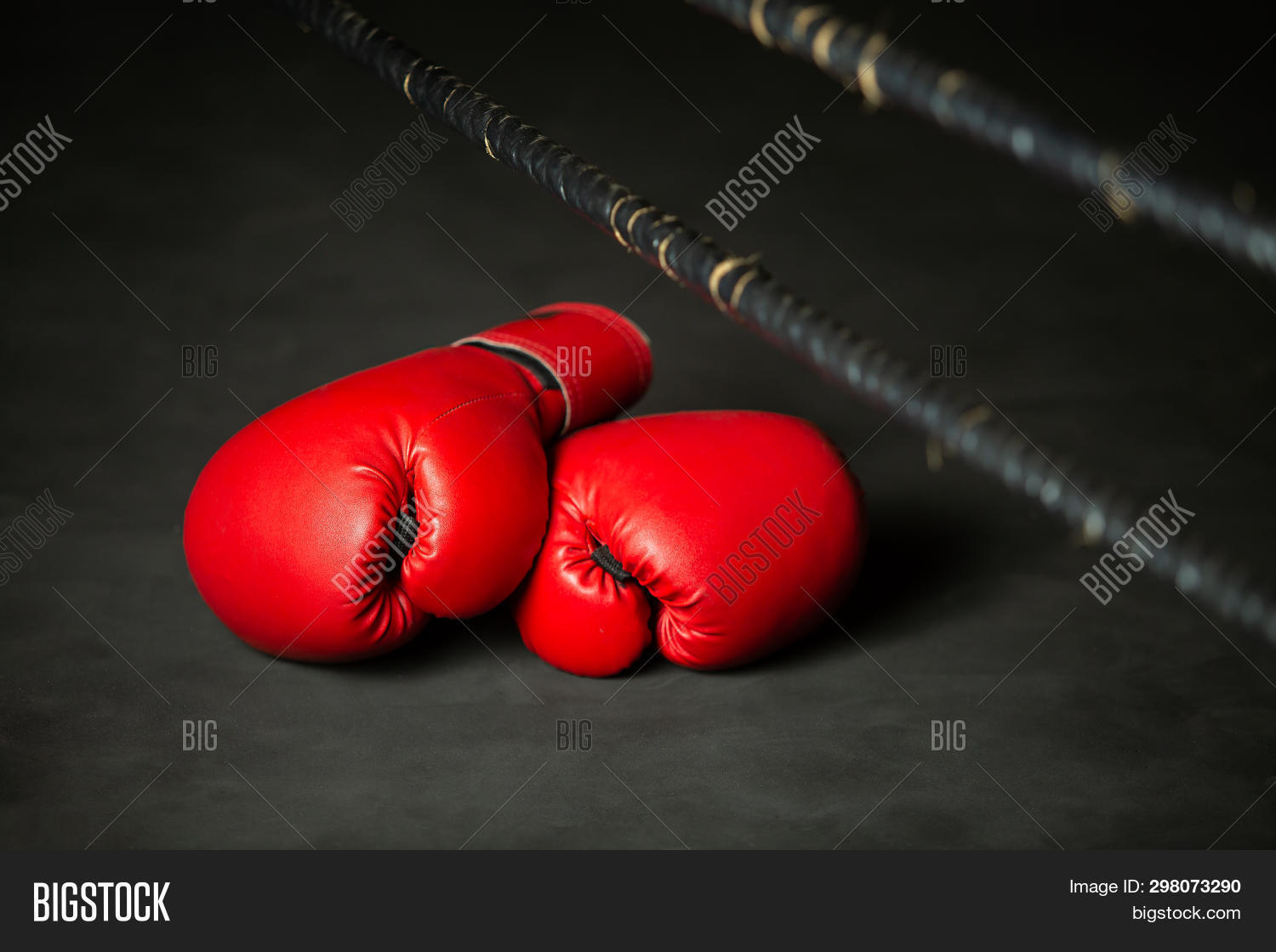 Red Boxing Sports, Image & Photo (Free Trial) | Bigstock