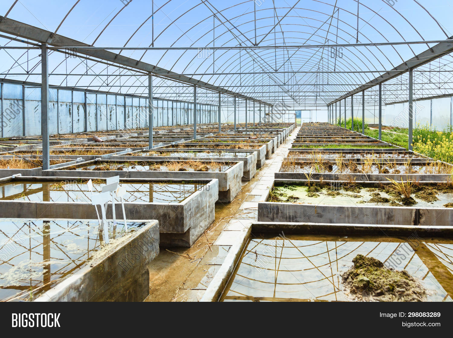 Old Empty Farm Plant Image & Photo (Free Trial) | Bigstock